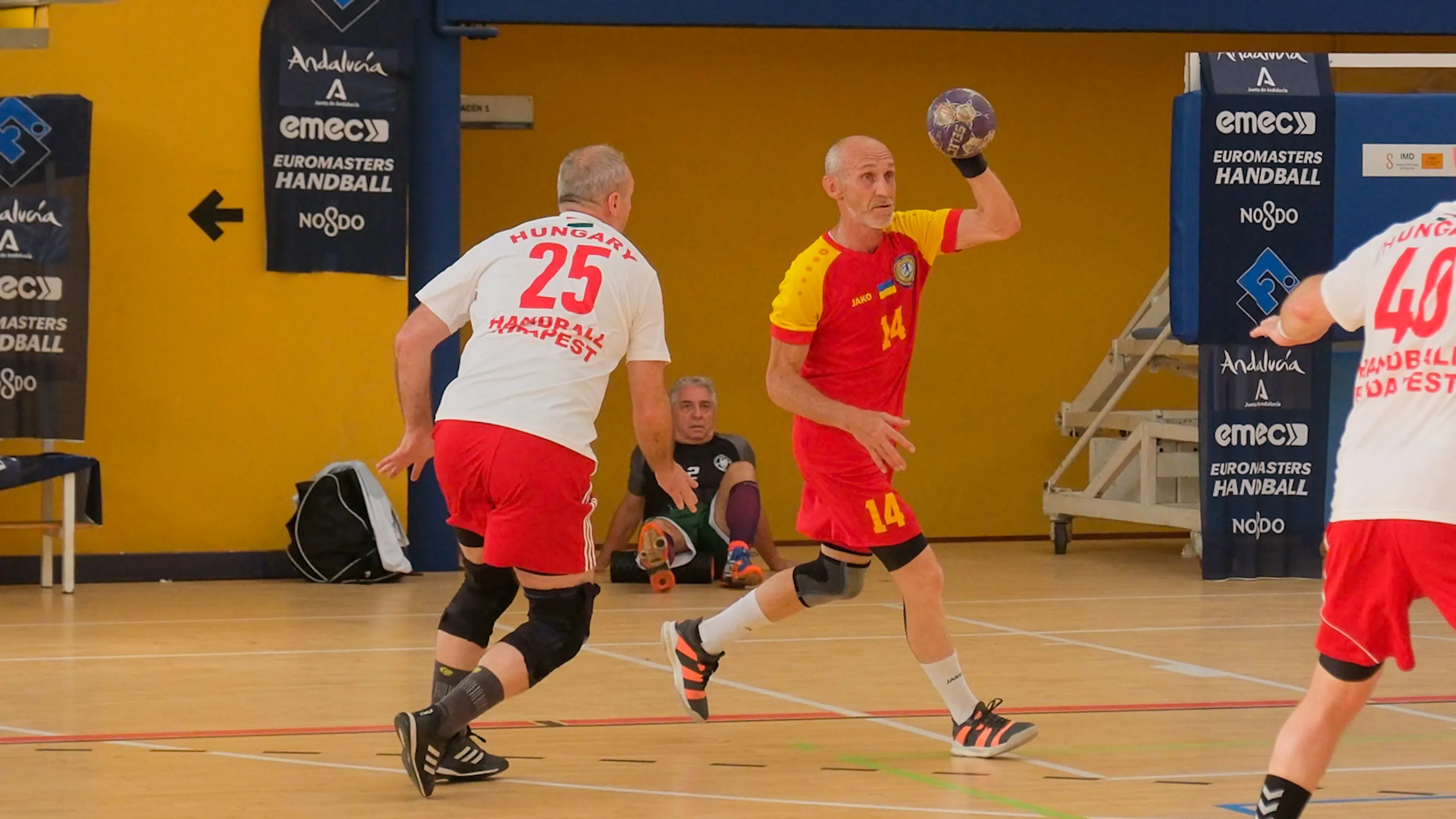 Masters handball: European Championship takes place in Portugal
