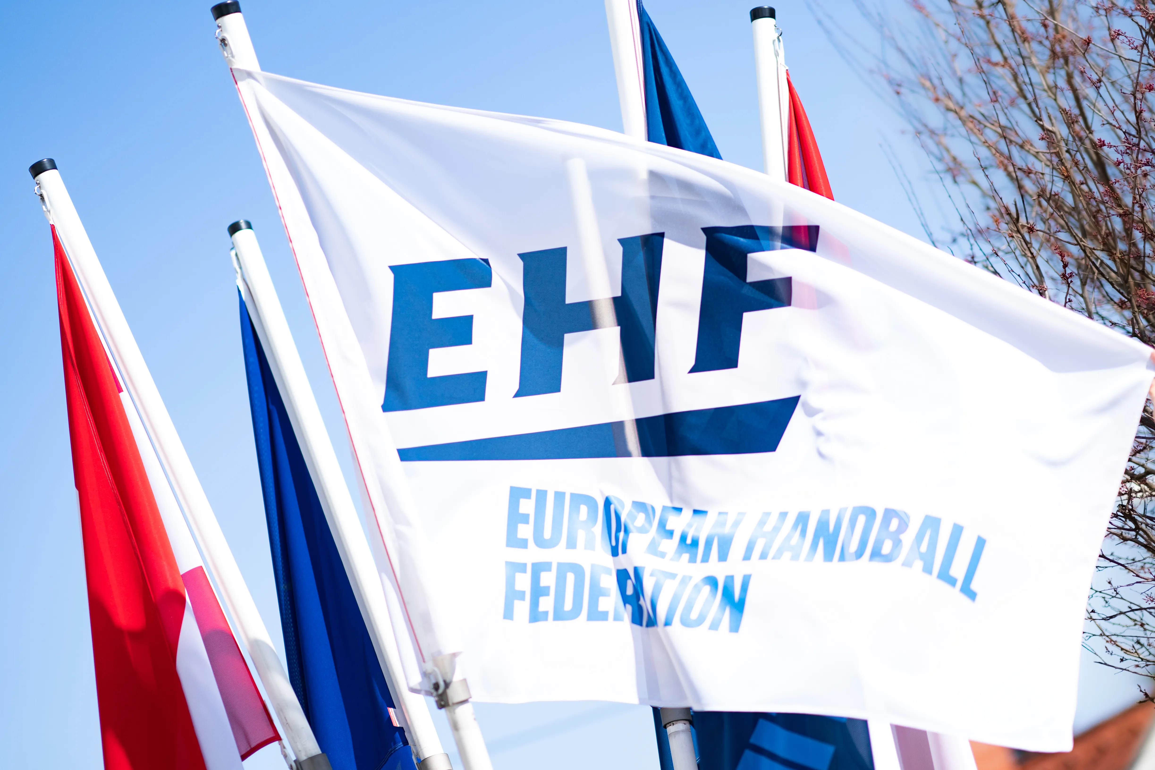 Official EHF statement after GER vs CRO semi-final press conference