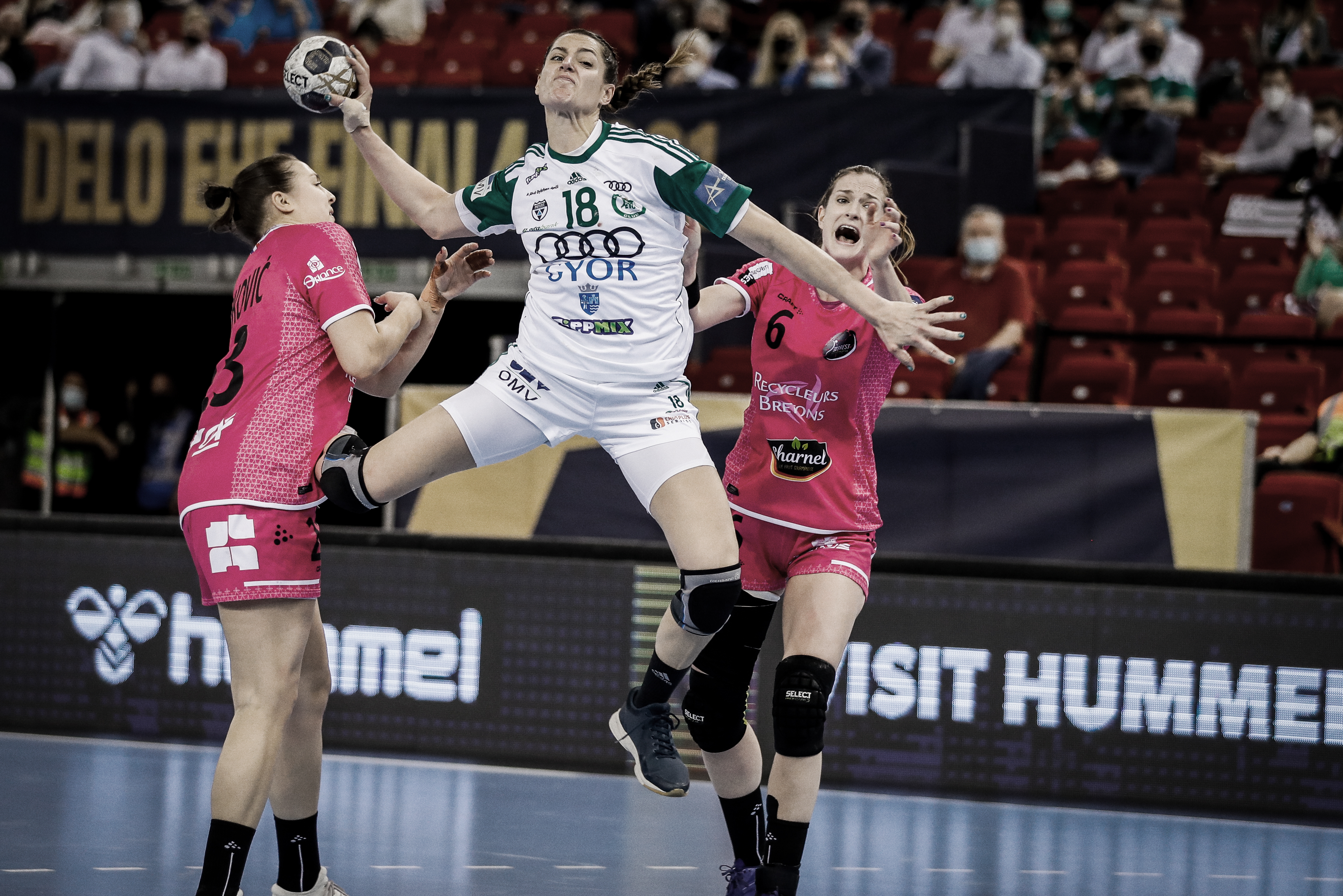Hall of Fame: Eduarda Amorim-Taleska