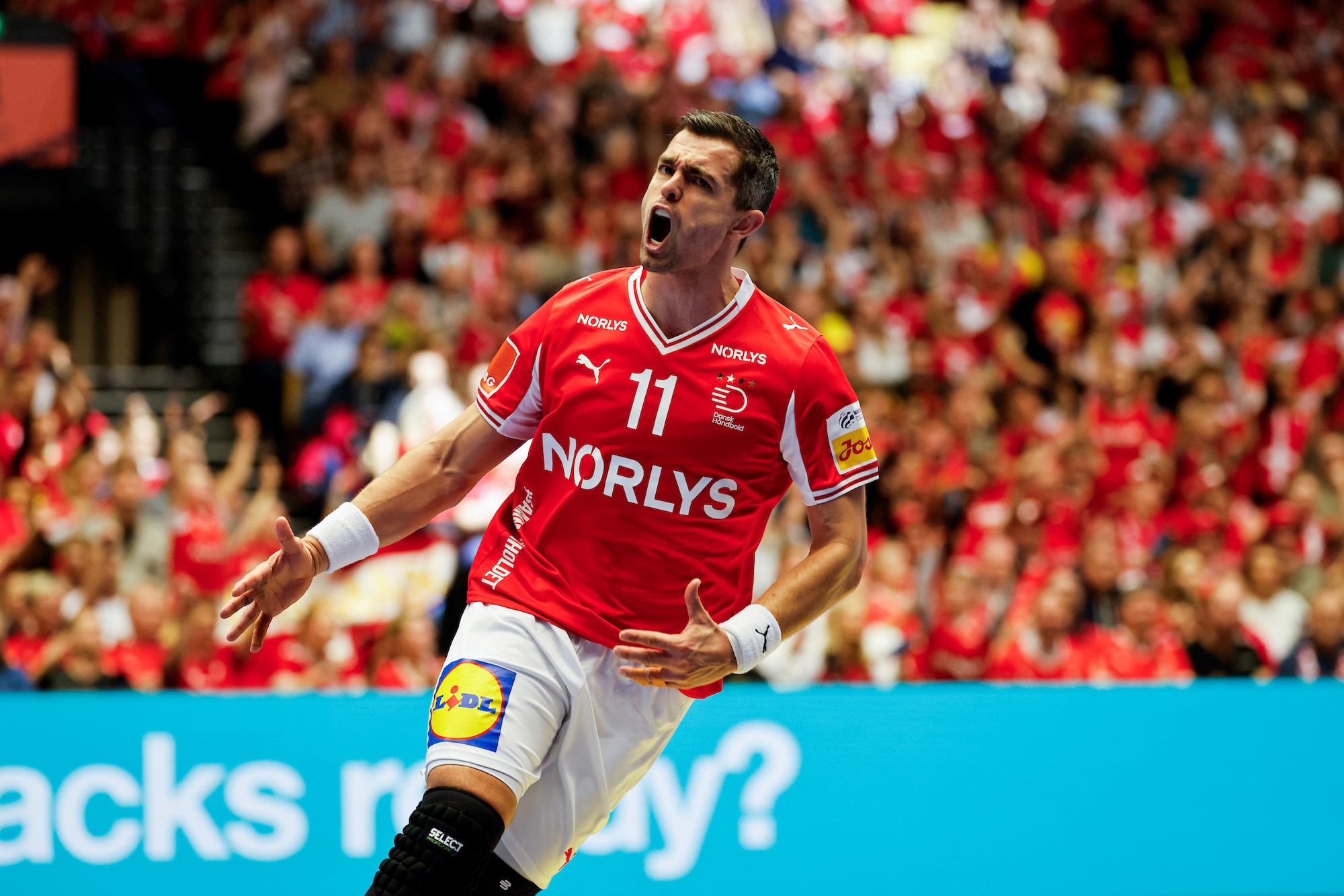 Denmark - Players, Team & Season Info | EHF